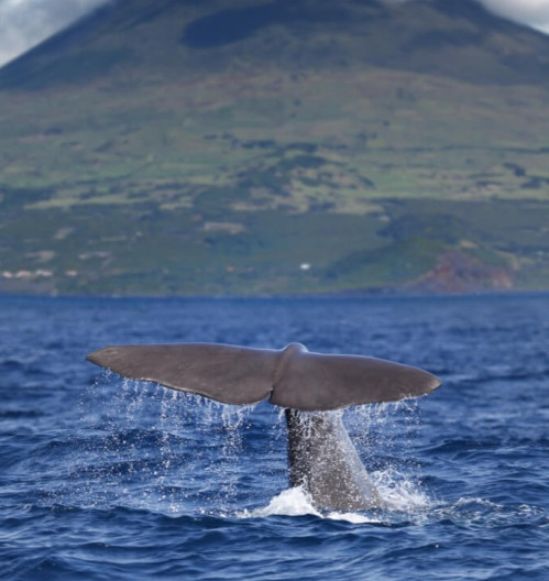 Dobrodružstvo poznania | Victory Travel